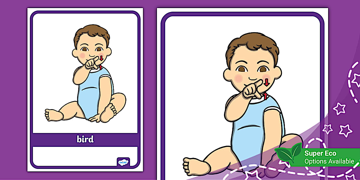 FREE! - Baby Sign Poster: Bird (teacher made) - Twinkl