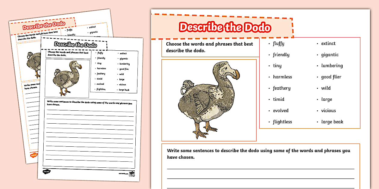 Describe the Dodo Worksheet (Teacher-Made) - Twinkl