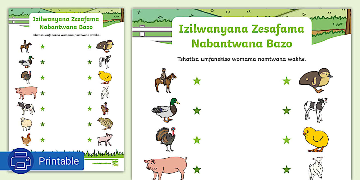 Izilwanyana Zasefama Nabantwana Bazo Tshatisa Worksheet