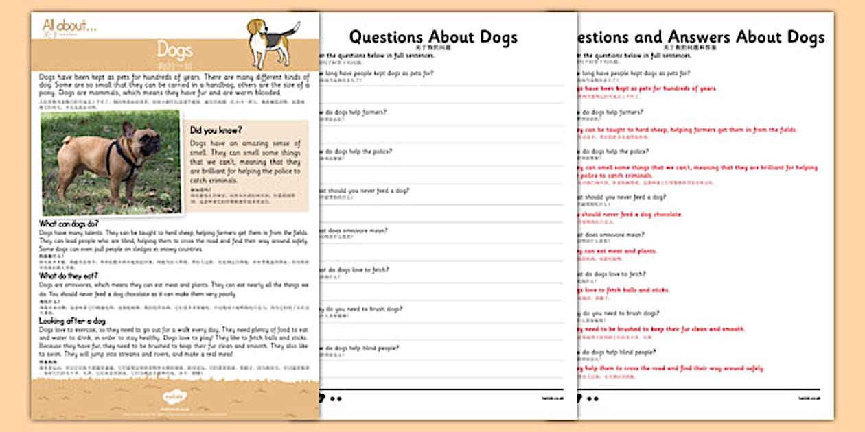 Dogs Reading Comprehension Mandarin Chinese Translation