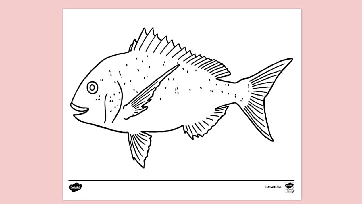 Gills Colouring | Colouring Sheets (teacher made) - Twinkl