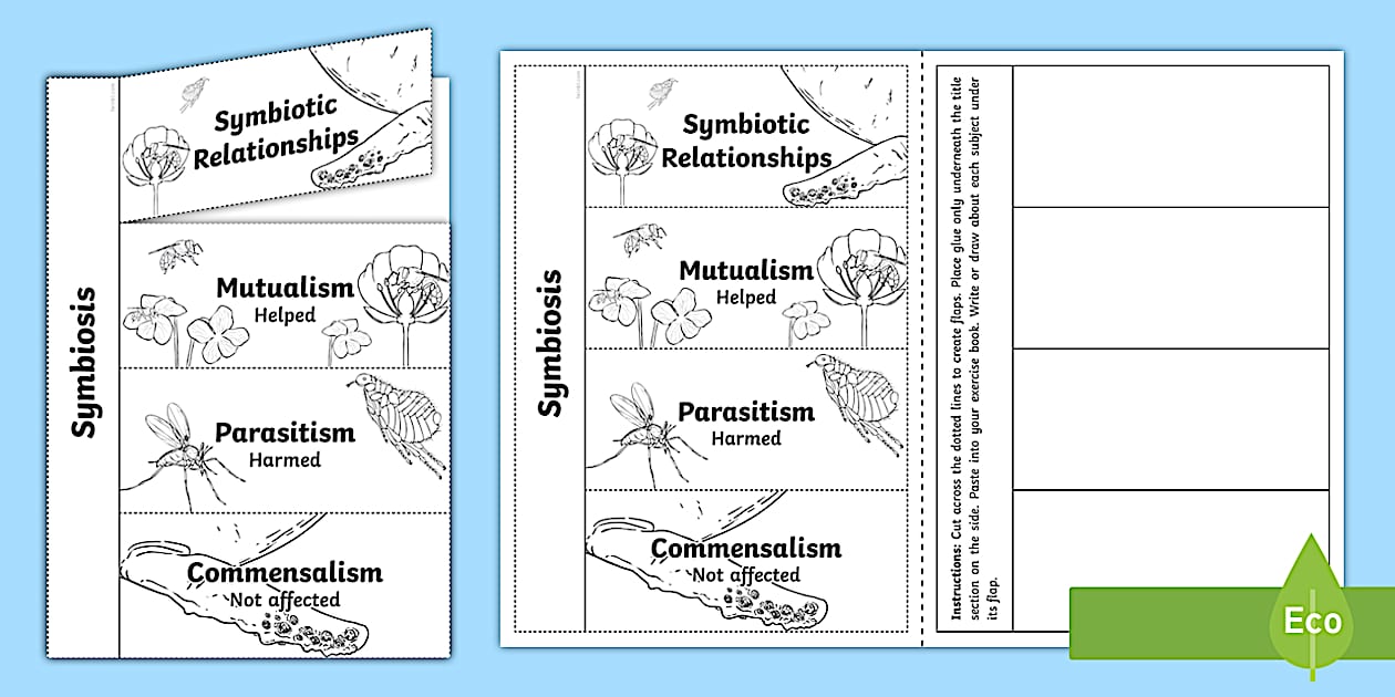 Symbiotic Relationships Writing Flaps Frames - AC9S4U01