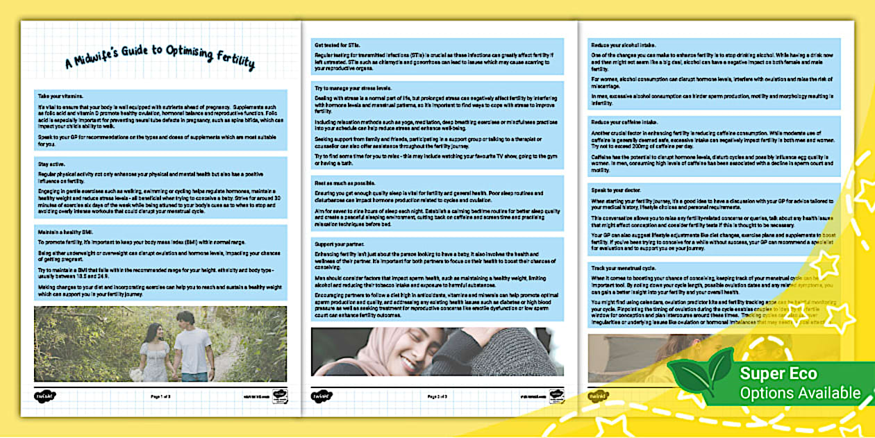 A Midwife's Guide to Optimising Fertility (teacher made)