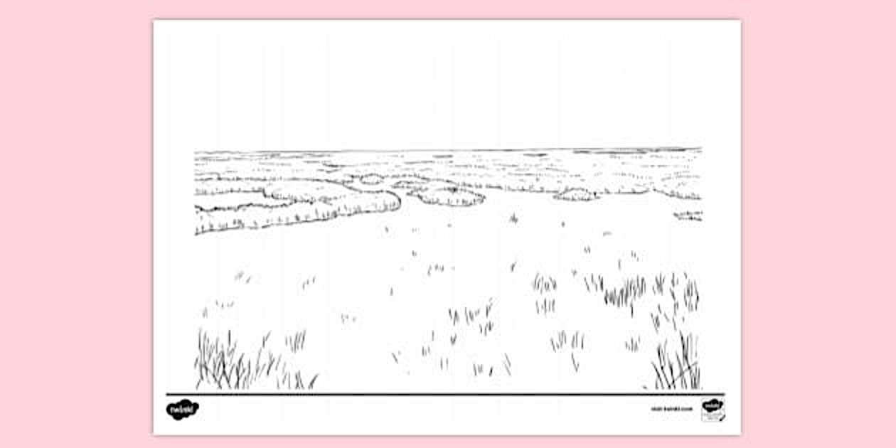 Saltmarsh Colouring | Colouring Sheets (teacher made)