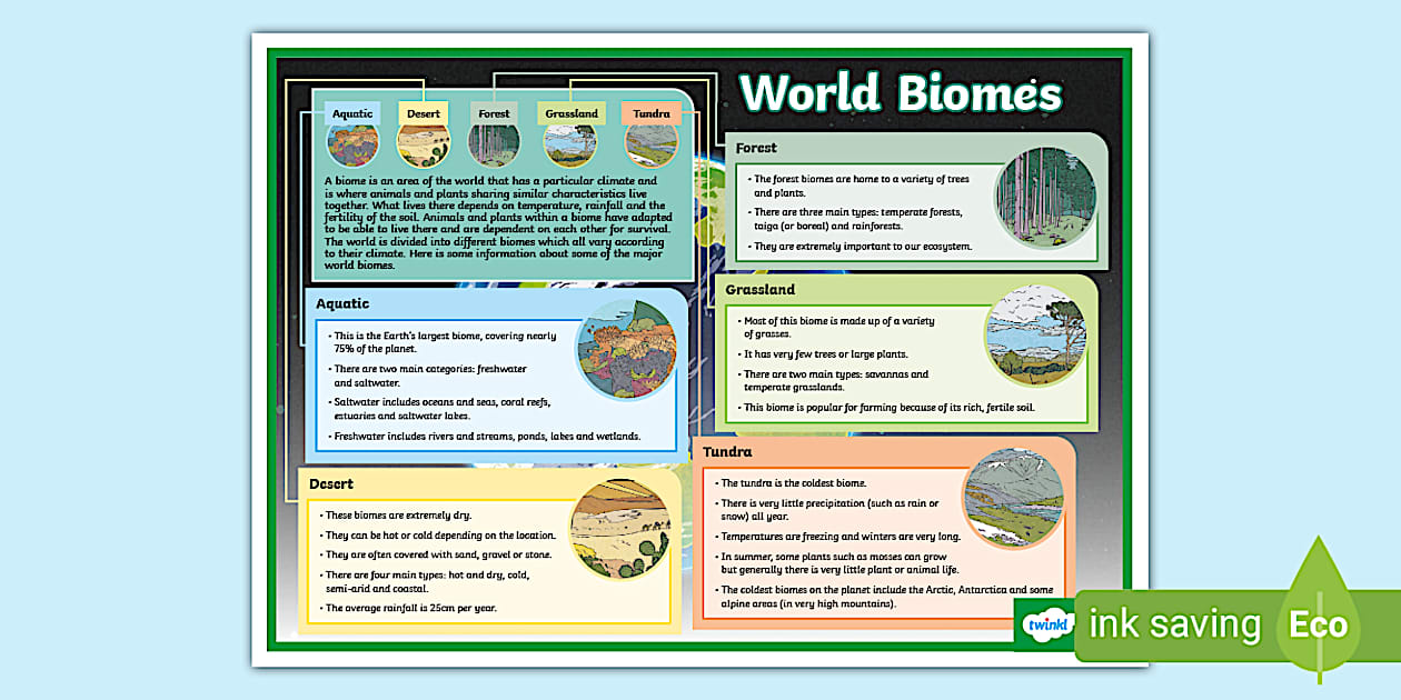Biomes KS2 Display Poster - Geography - KS2 (teacher made)