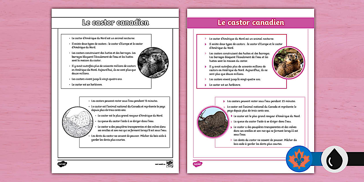 The Canadian Beaver Fact File French (l'enseignant a fait)