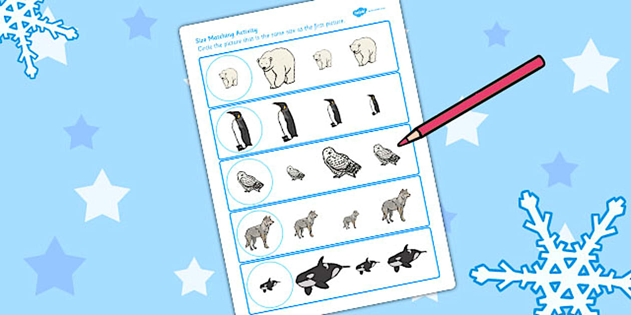 Polar Animals Size Matching Worksheet (teacher made)