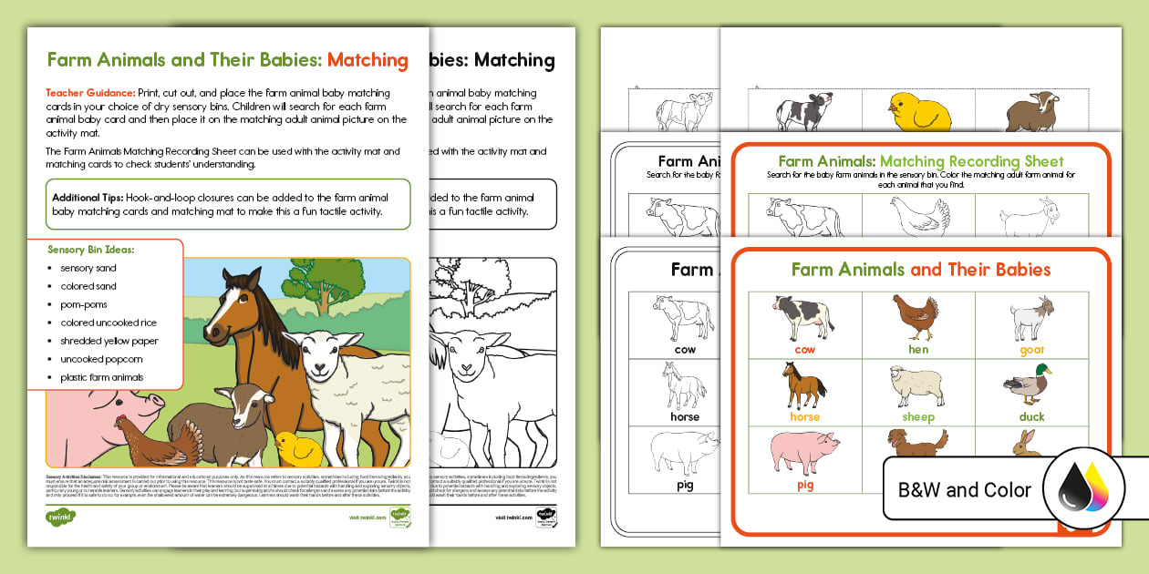 Farm Animals Sensory Bin Activity for Kids | Twinkl USA