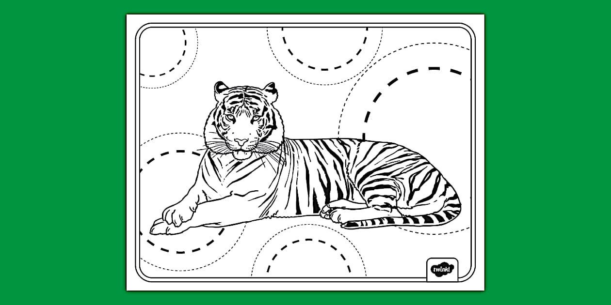 Tiger Coloring Sheet (teacher made) - Twinkl