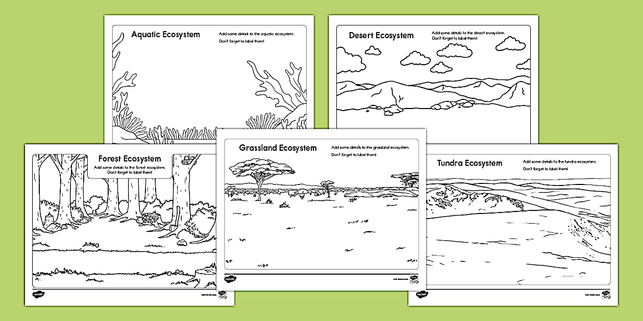 Draw the Ecosystems Activity Pack for K-2nd Grade - Twinkl