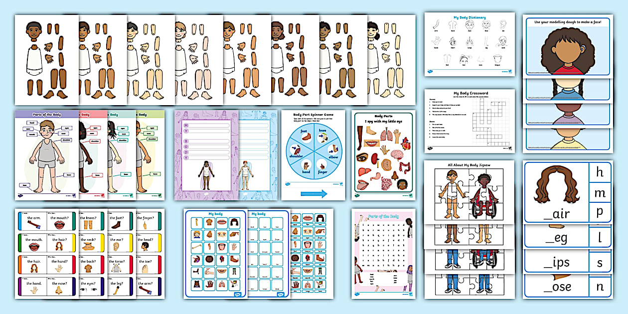 All about the Human Body: My Body Activity Pack for Kids
