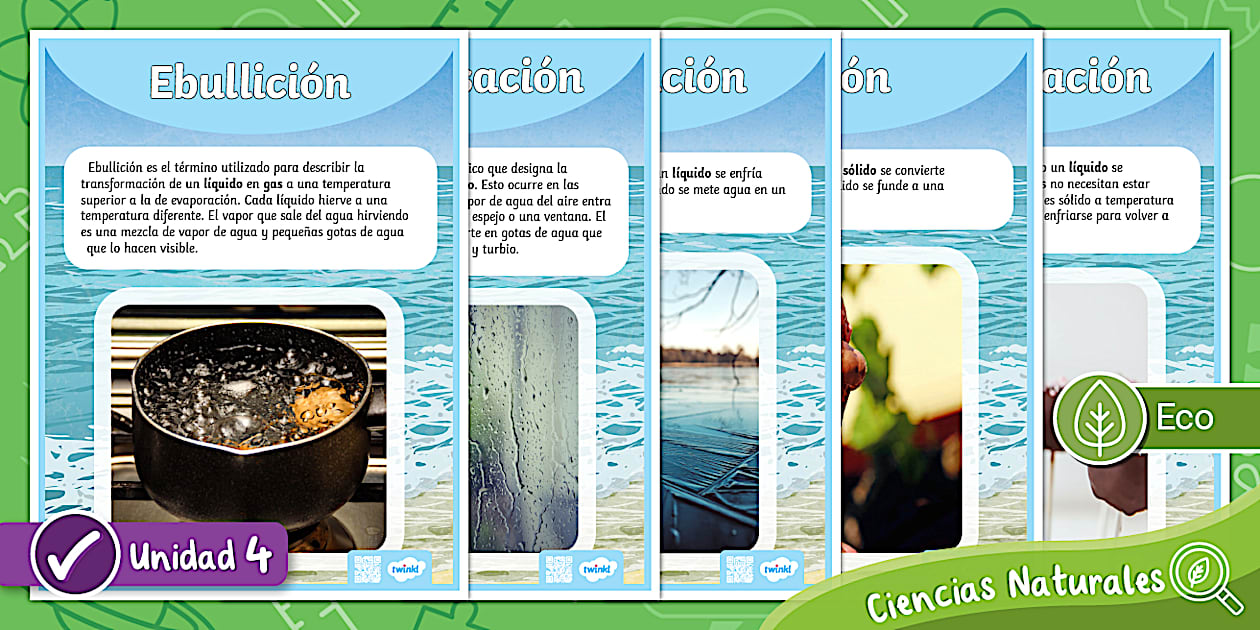 Póster Cambios de estado en la materia (teacher made)