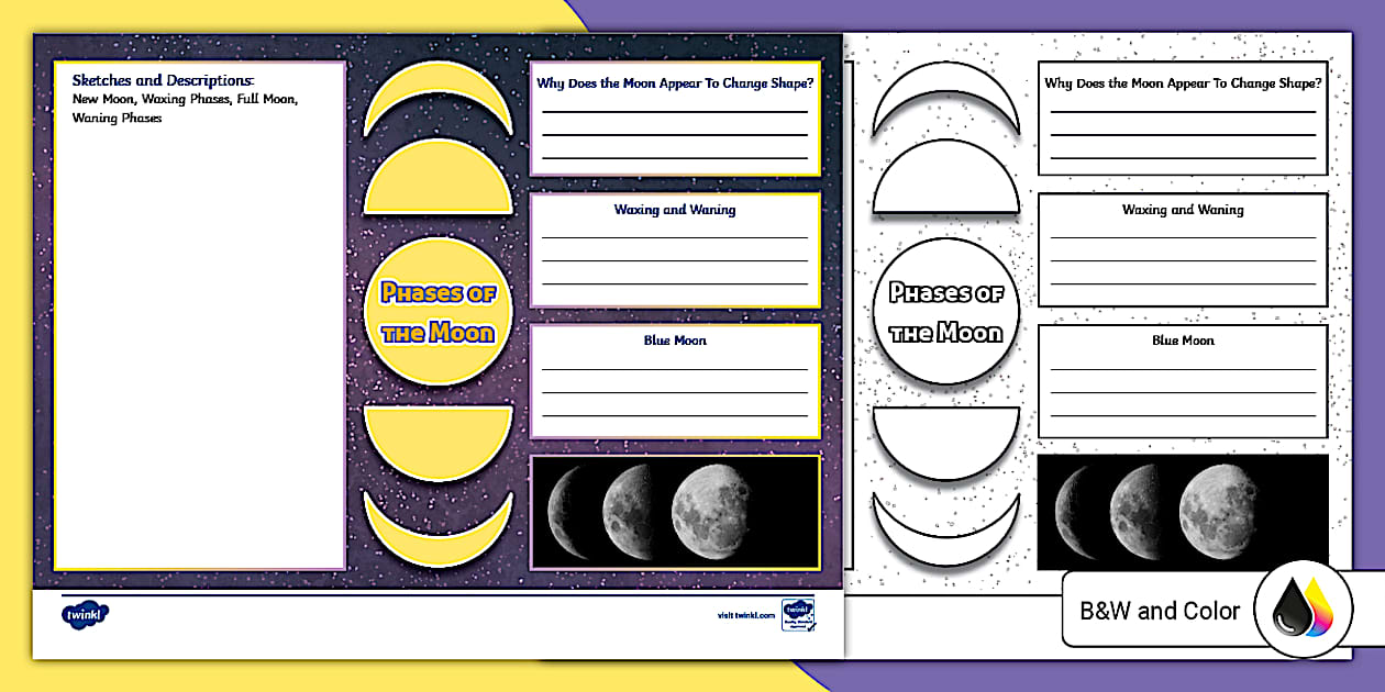 Moon Phases Graphic Organizer for 6th Grade | Twinkl USA
