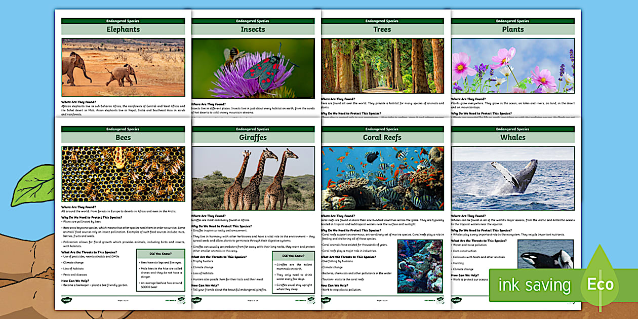 Editable Earth Day 2020 - Endangered Species Fact File