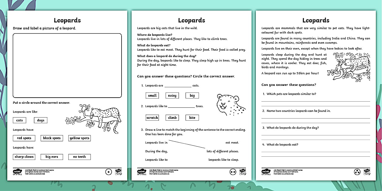 Leopards Differentiated Worksheet / Worksheets - Twinkl