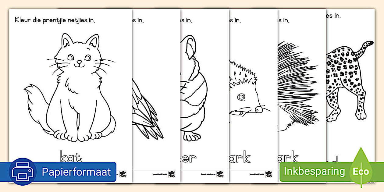Nagtelike Diere Inkleurbladsye (teacher made) - Twinkl