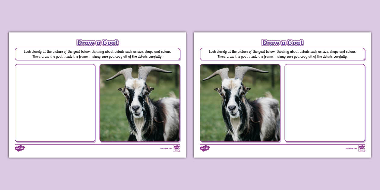 Draw a Goat Worksheet