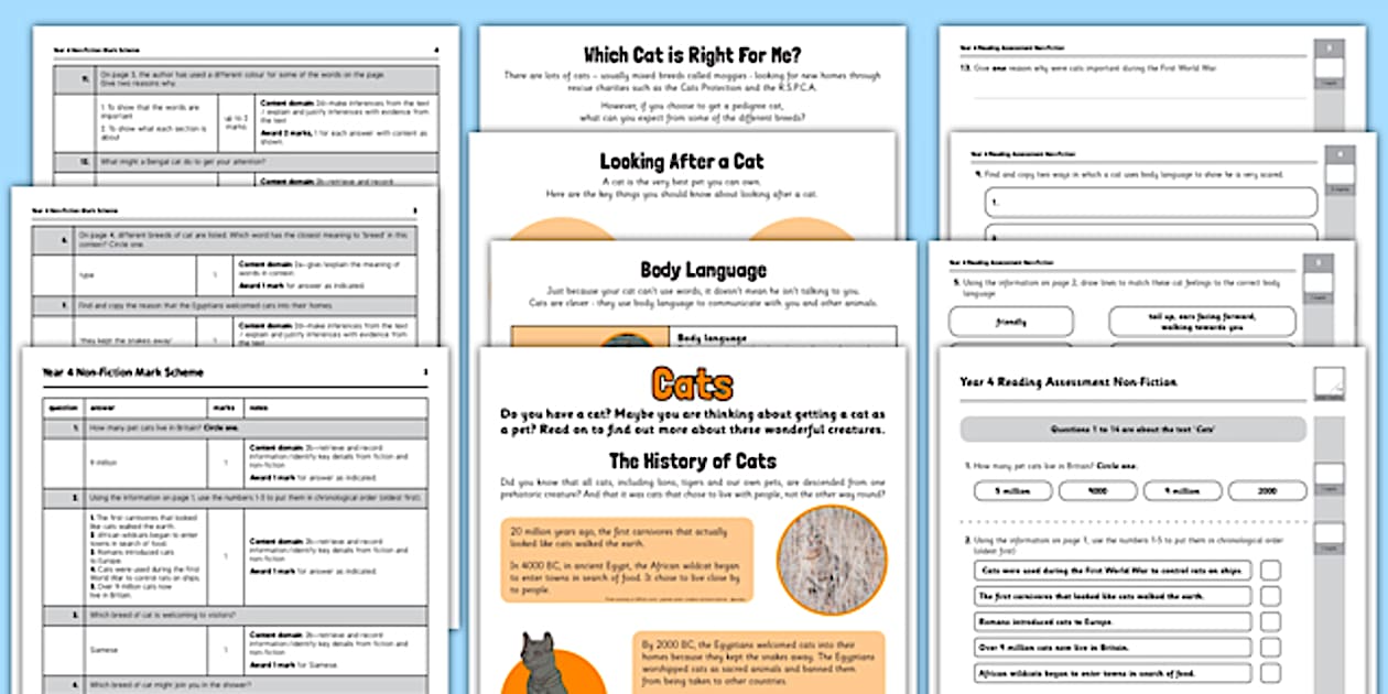 Year 4 Term 2 Non-Fiction Reading Assessment - Twinkl