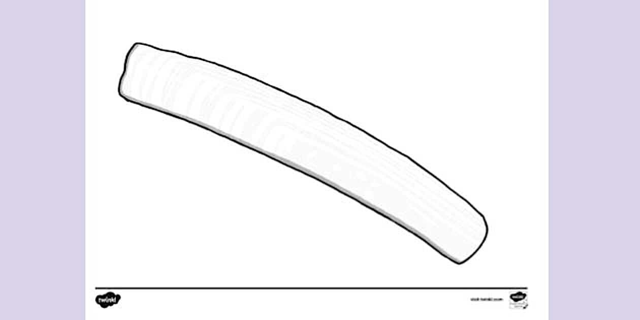 Razor Shell Colouring Sheet | Colouring Sheets - Twinkl