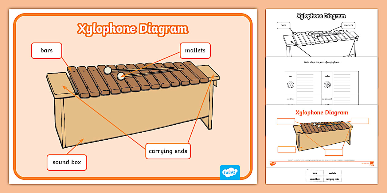 Xylophone Diagram Activity Pack (Hecho por educadores)
