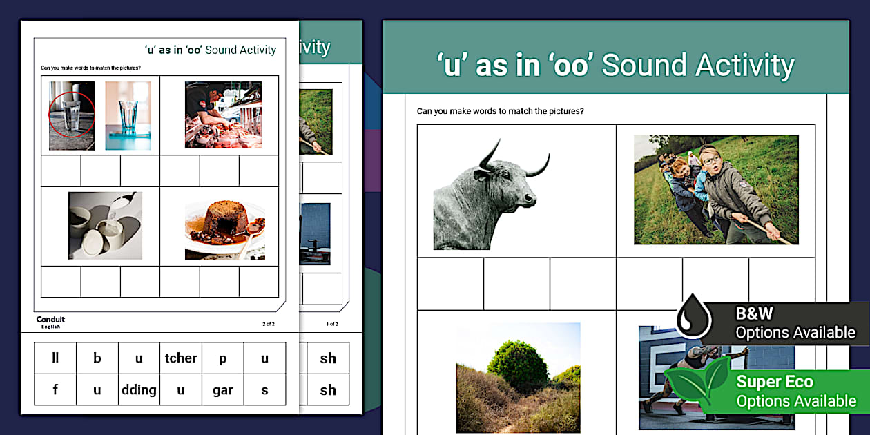 Reinforcing Sounds: 'u' as in 'oo' Cut and Stick Activity