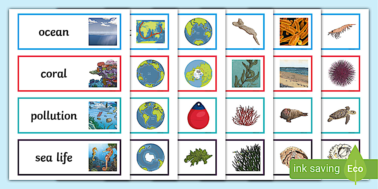 World Oceans Day Word Cards (teacher made) - Twinkl