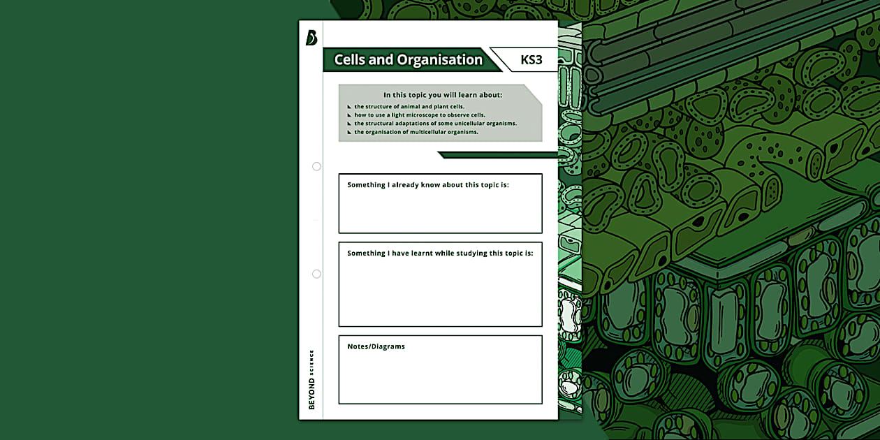 KS3 Cells and Organisation Topic Title Page (teacher made)