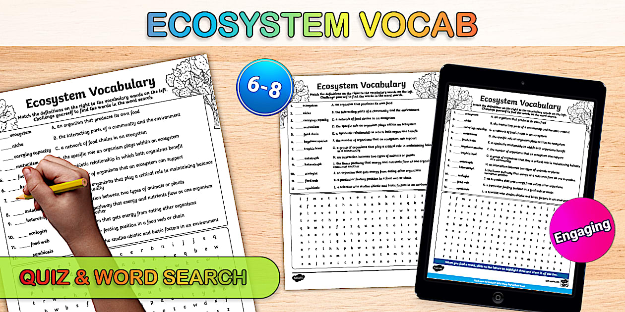Ecosystem Vocabulary Matching and Word Search 6th-8th Grade