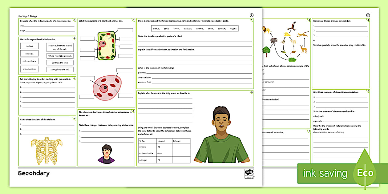 KS3 Science Revision Mats | Beyond (Teacher-Made) - Twinkl