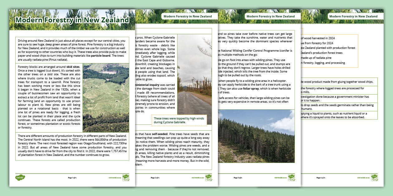 Modern Forestry in Aotearoa New Zealand Fact File - Twinkl