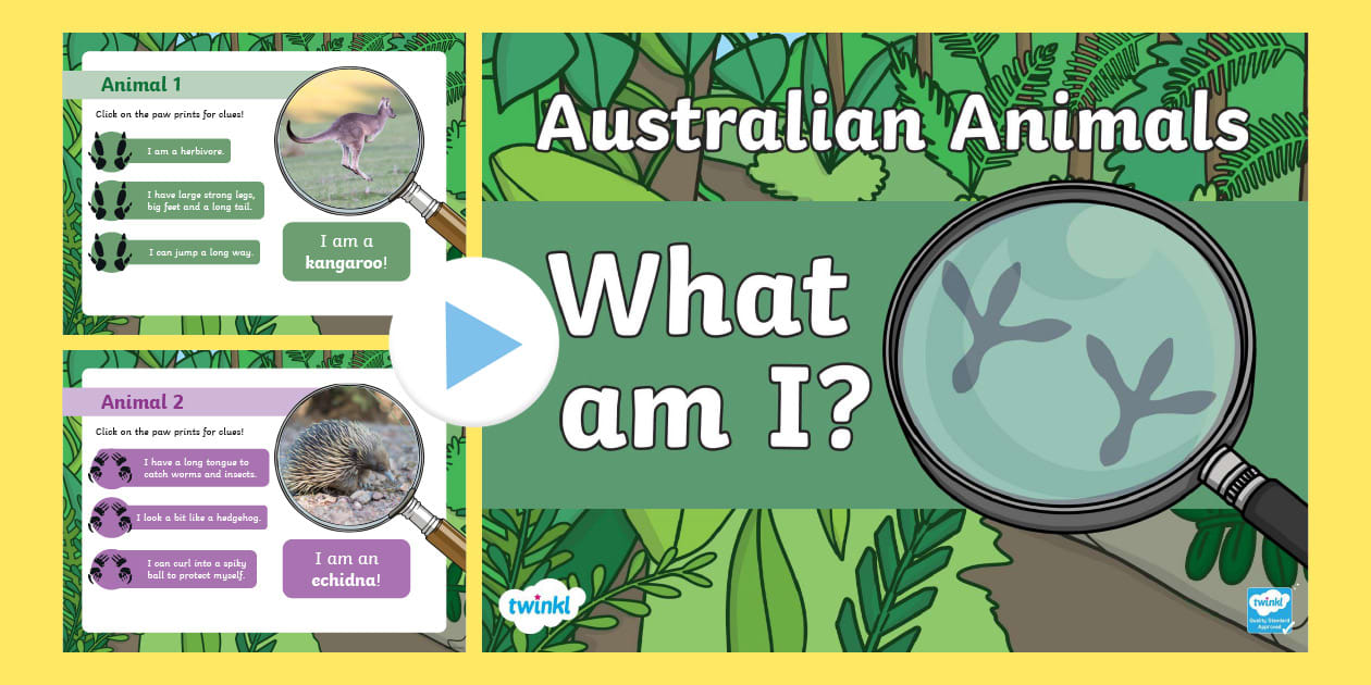 Australian Animals What Am I? Interactive PowerPoint Game