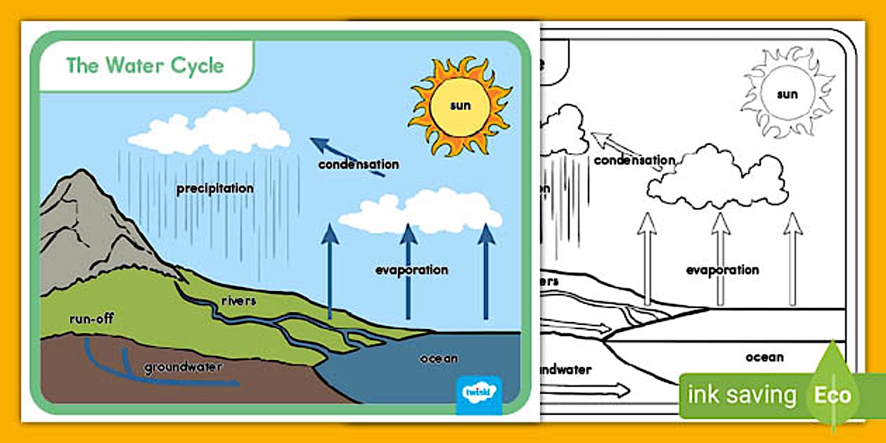 The Water Cycle Poster for K-2nd Grade (teacher made)