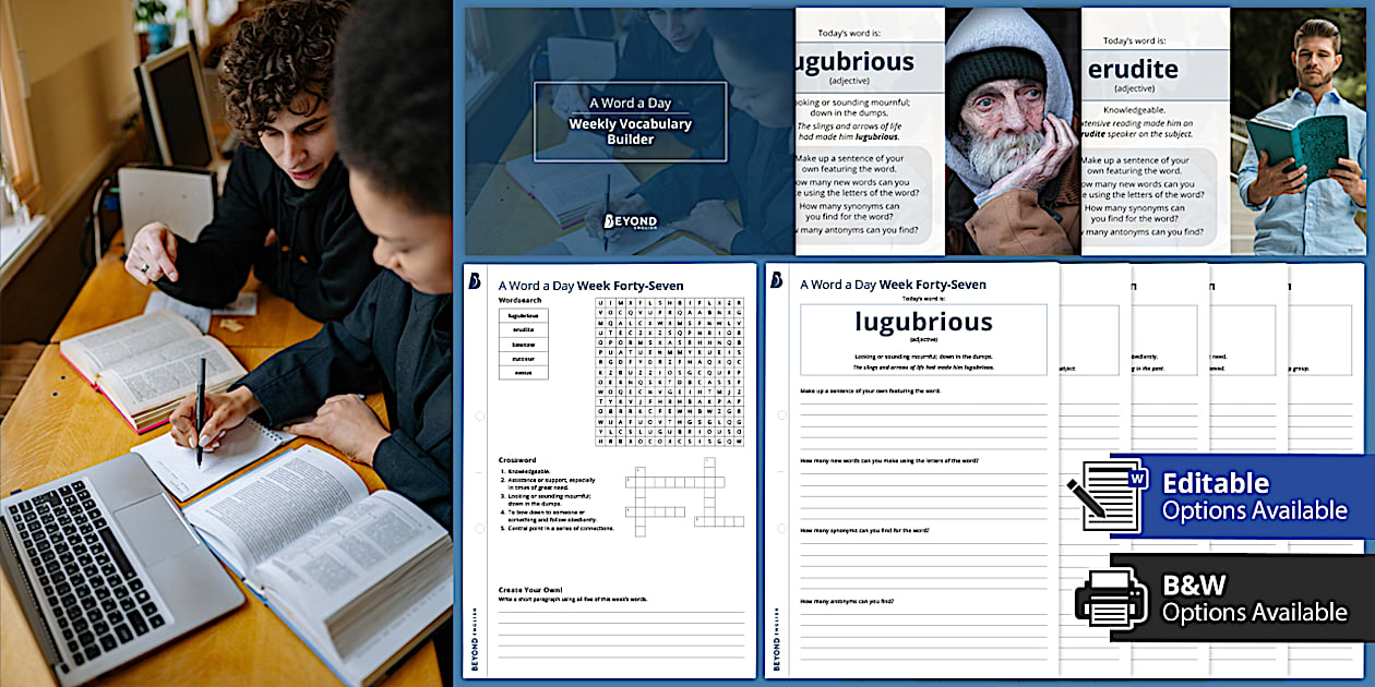 A Word a Day Activity Pack Week 47 (Teacher-Made) - Twinkl