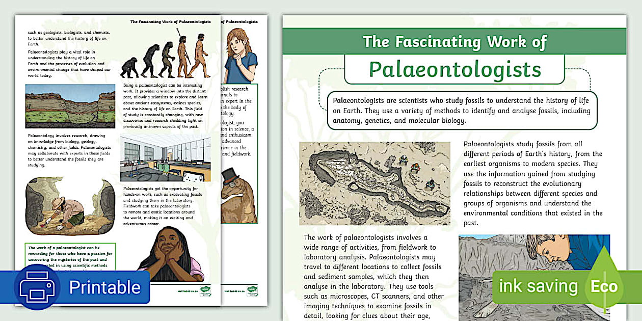 Paleontology Worksheet - Twinkl South Africa (teacher made)