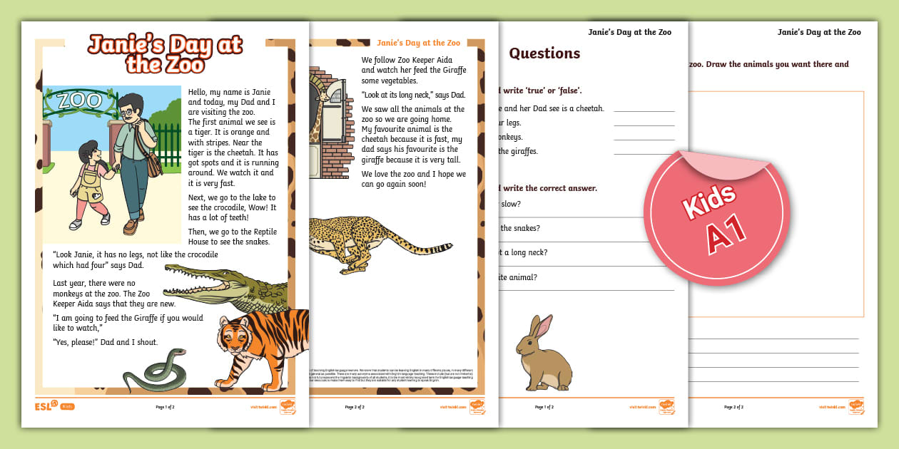 Janie's Day at the Zoo Reading Comprehension on Twinkl