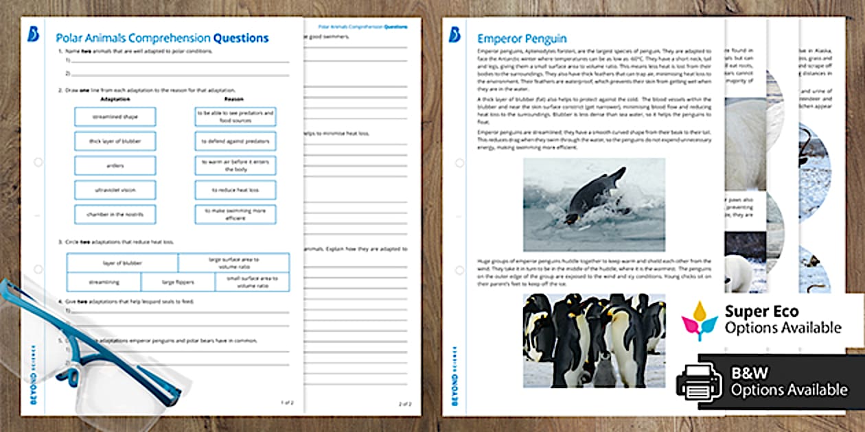 Polar Animal Adaptations Reading Comprehension | Beyond
