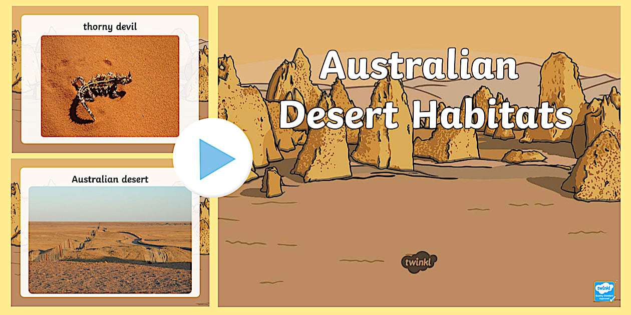 Australian Desert PowerPoint | Australian Habitats - Twinkl