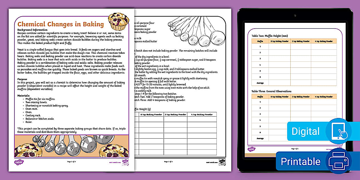 Baking Cake Chemical Change Project | Resource | Twinkl USA