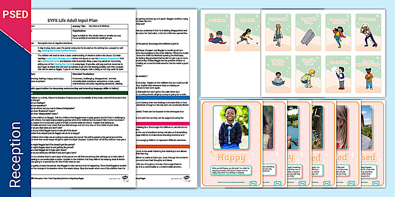 EYFS PSED Regulating Reggie Adult Plan and Resource Pack