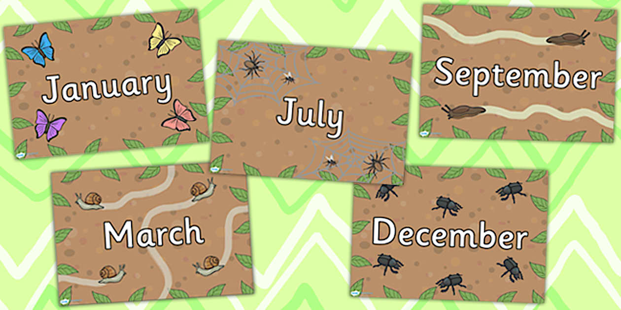 Minibeast Themed Months of the Year Posters - classroom display