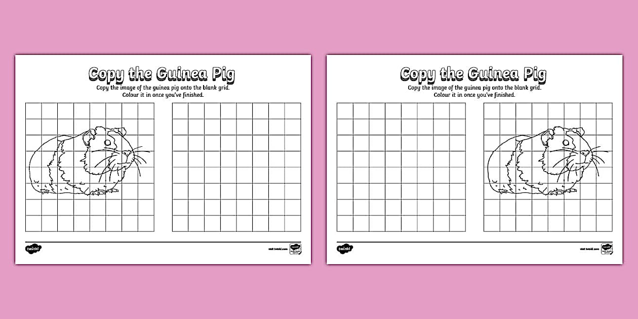 Copy the Guinea Pig Worksheet