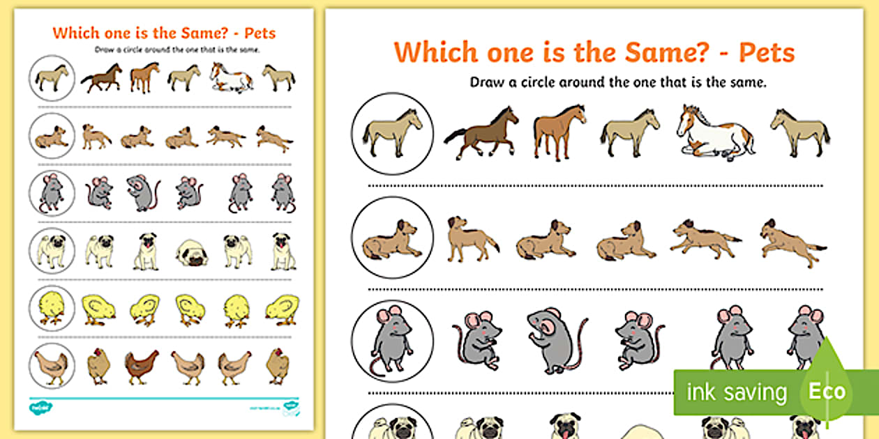Which one is the Same? - Pets (teacher made) - Twinkl