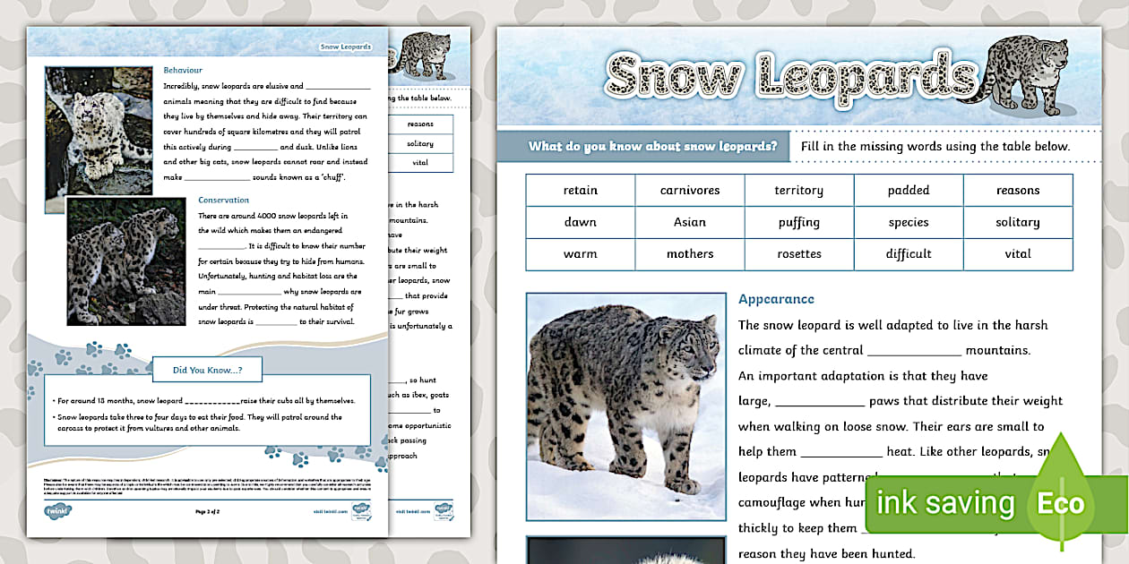 Snow Leopards Cloze Worksheet (teacher made) - Twinkl