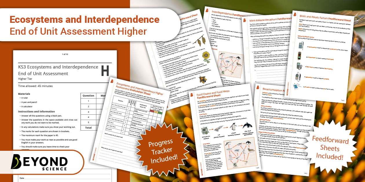 Ecosystems and Interdependence Higher Assessment | Beyond