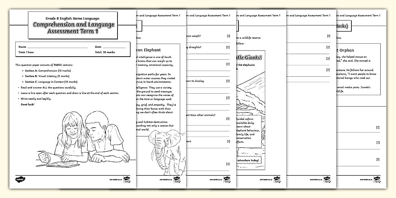 Grade 8 English Home Language: Comprehension and Language Assessment Term 1