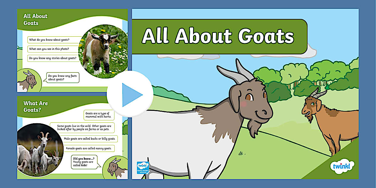All About Goats PowerPoint | Twinkl (teacher made) - Twinkl