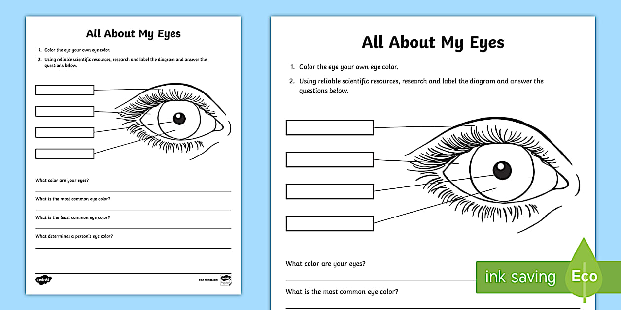 All About My Eyes Science Worksheet (Teacher-Made) - Twinkl
