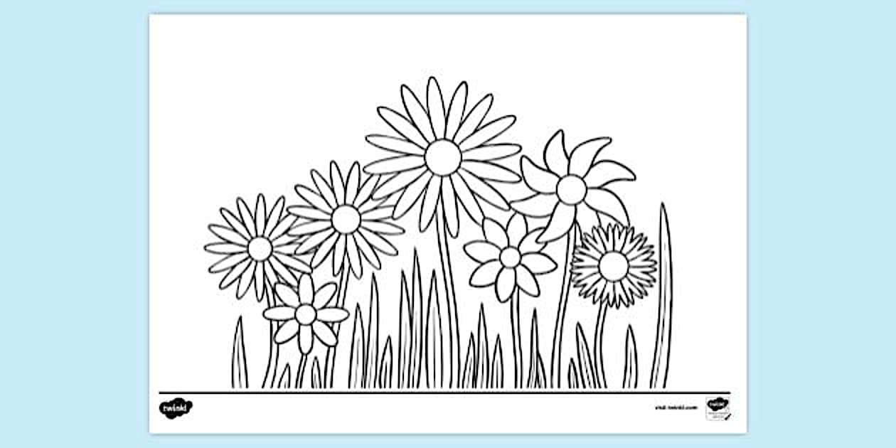 Plant Colouring Page | Colouring Sheets (teacher made)