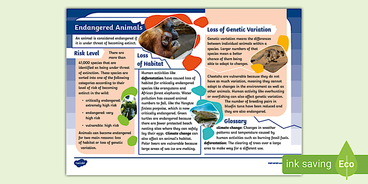 KS2 Endangered Animals Fact File (teacher made) - Twinkl KS2 Endangered Animals Fact File (teacher made) - Twinkl
