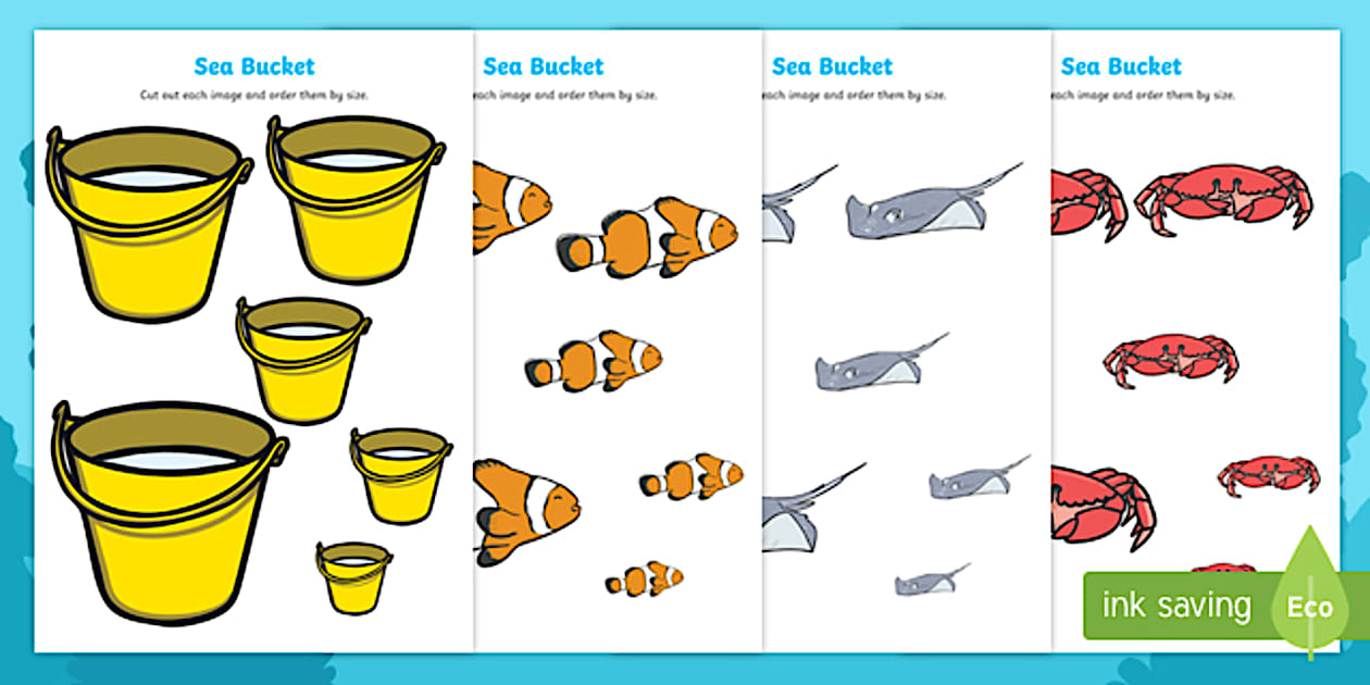 Sea Bucket Size Ordering (teacher made) - Twinkl